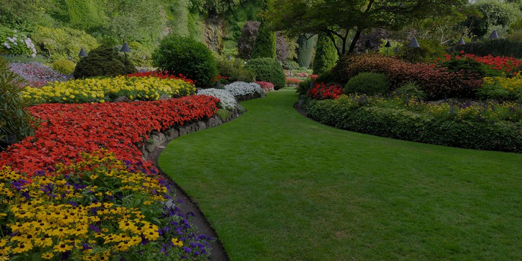 Headers landscaping Wroxton Group headers-landscaping-wroxton-group